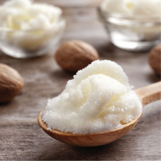 Scar Butter (Essential For Rapid Scar Repair) - Scar Food